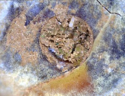 GIS environmental conditions review: Have your say