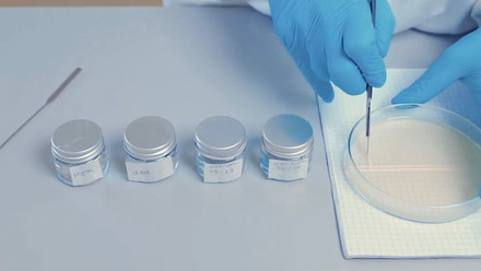 Agar Spray Workshop: New Applications of Rigid Gel for the Treatment of ...