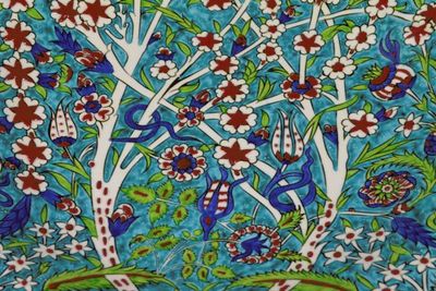 Sarah Peek Conservation